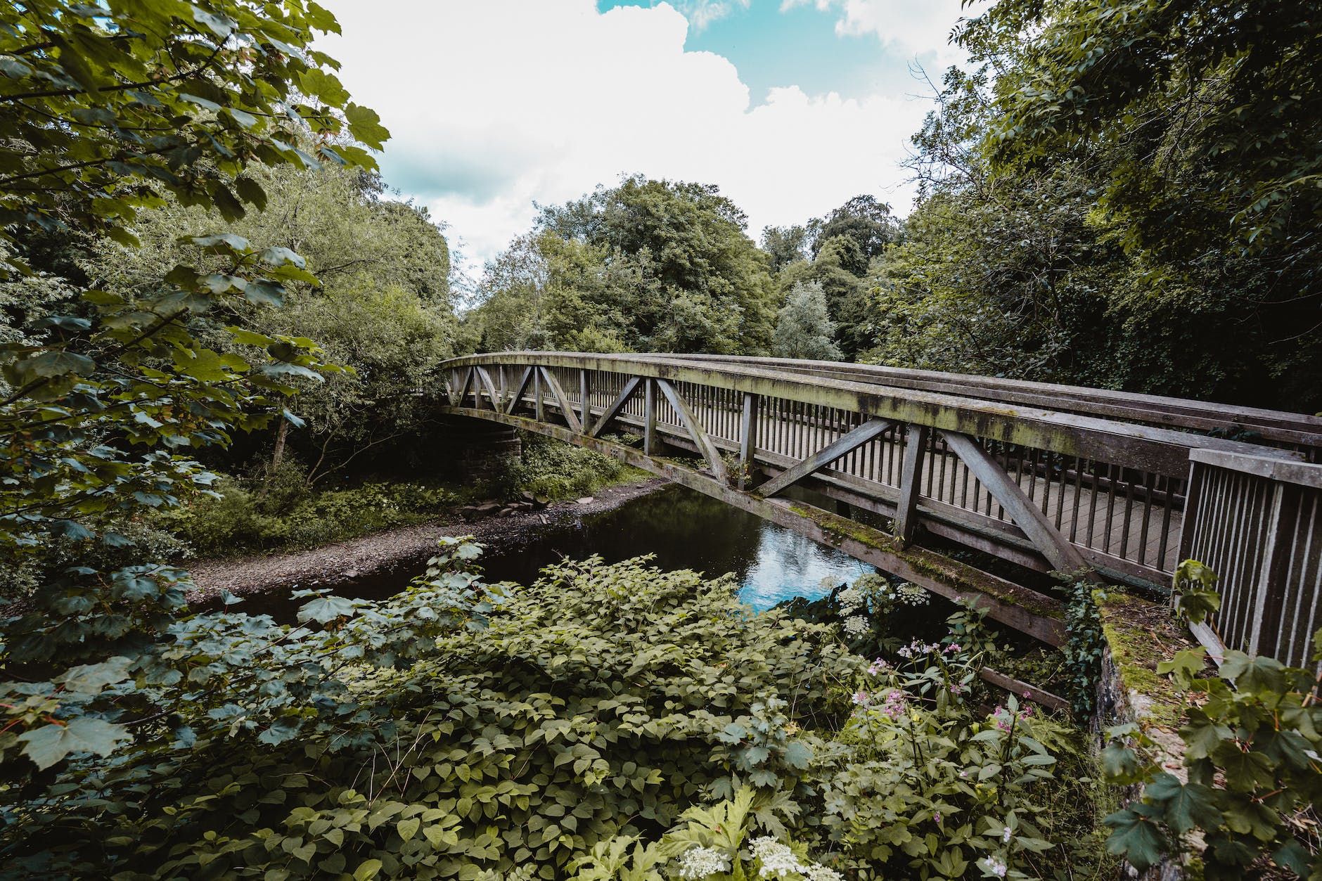 Blog - Umoja Unity Gardens